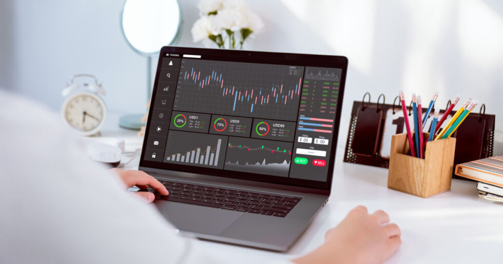 A Guide To Understanding the Risks and Rewards of Stock Investing